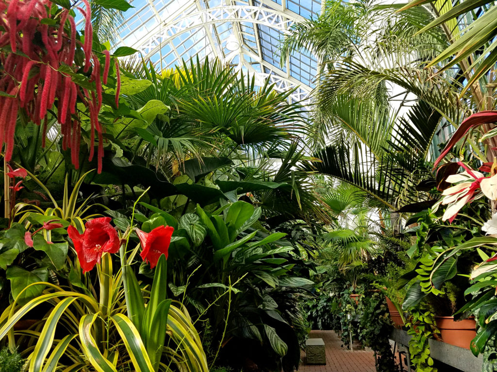 Winter Diversion: Biltmore Estate ConservatoryInn on Mill Creek