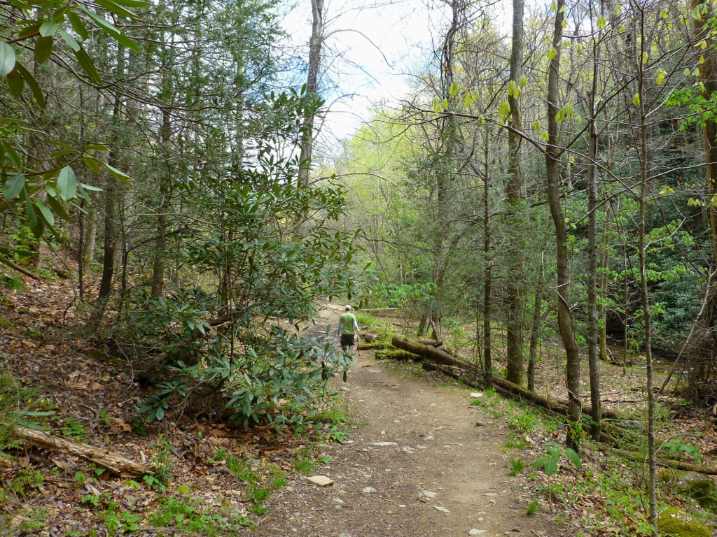 Catawba Falls Trail in Old Fort, North Carolina