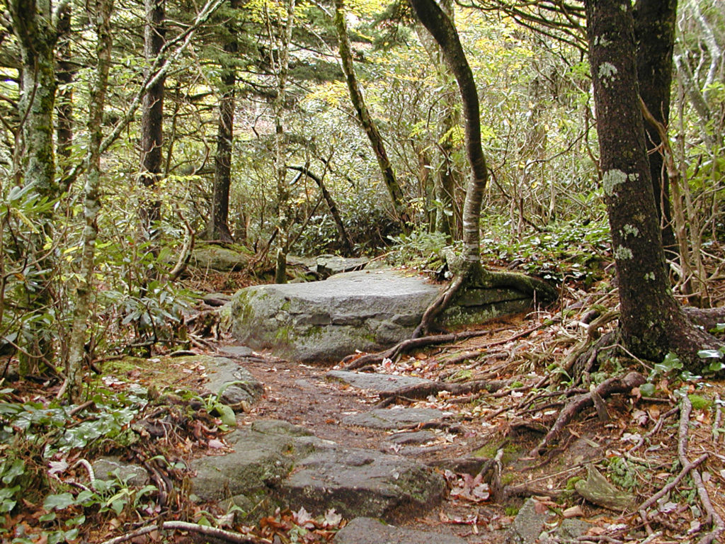 100 Years of NC State Parks: Grandfather Mountain