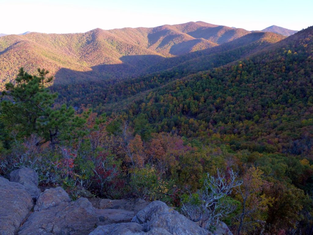 2016 Fall Color Report for the NC Mountains: Week 4